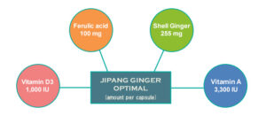JIPANG Ginger | Cancer, Alzheimer, Longevity & Heart Health Supplement