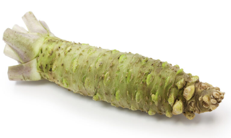 JIPANG Ginger Wasabi Supplement | Healthy functioning of brain.